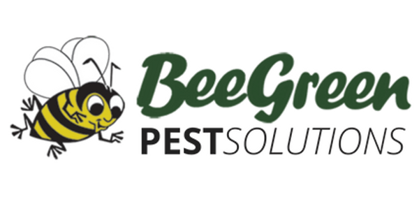Bee Green Pest Solutions | 161 Customer Reviews with a 5-Star Rating