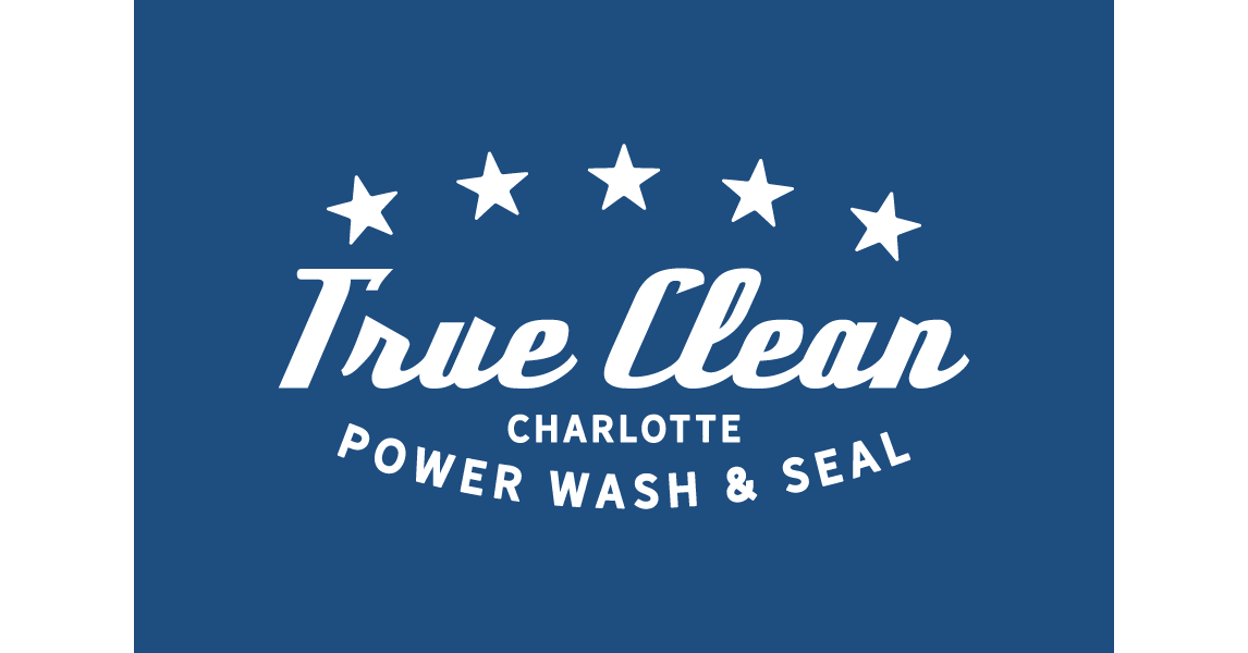 True Clean Power Wash and Seal | 157 Customer Reviews with a 5-Star Rating