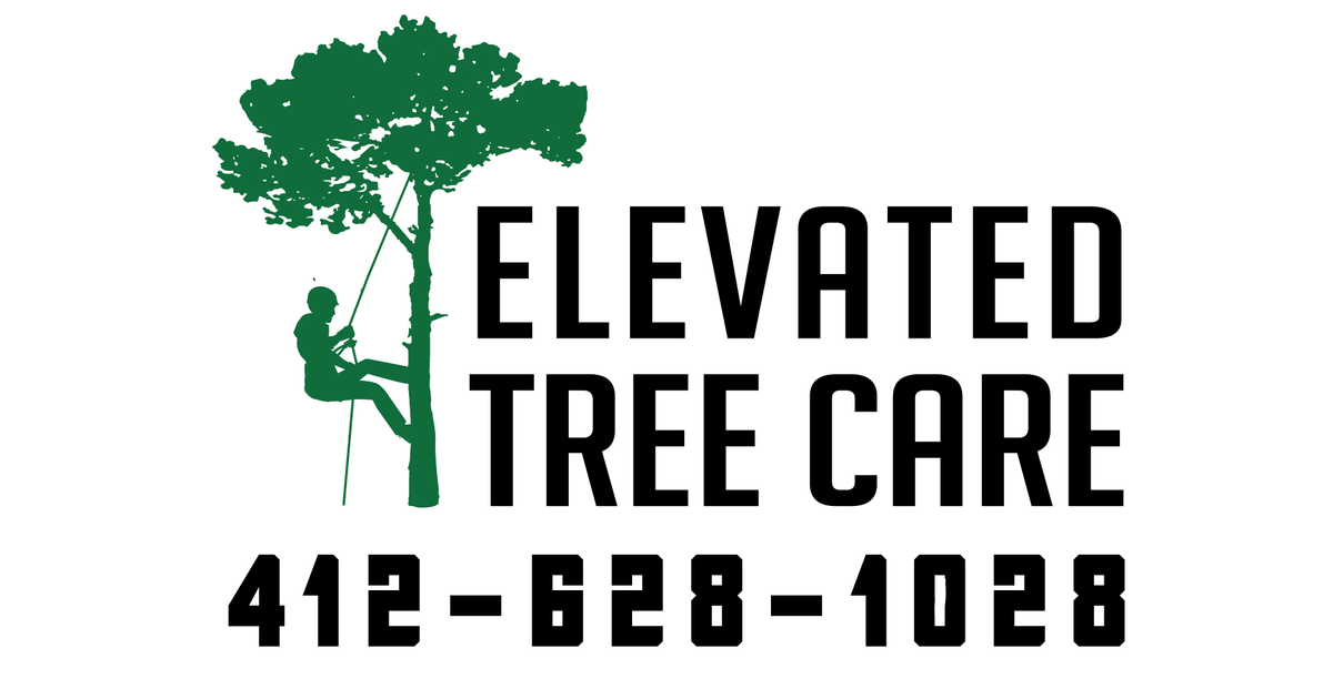 Elevated Tree Care | 523 Customer Reviews with a 5-Star Rating