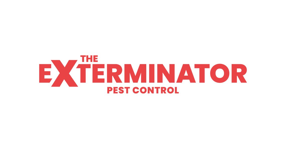 The Exterminator by Orkin | 649 Customer Reviews with a 5-Star Rating