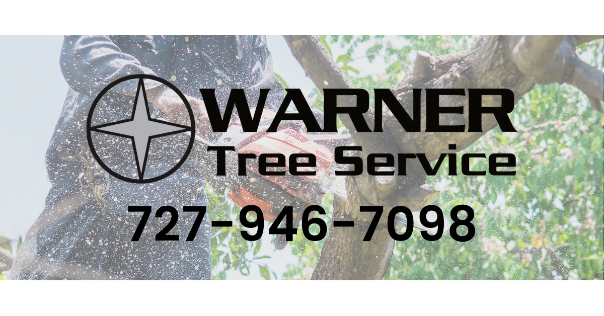 Warner Tree Service | 261 Customer Reviews with a 5-Star Rating