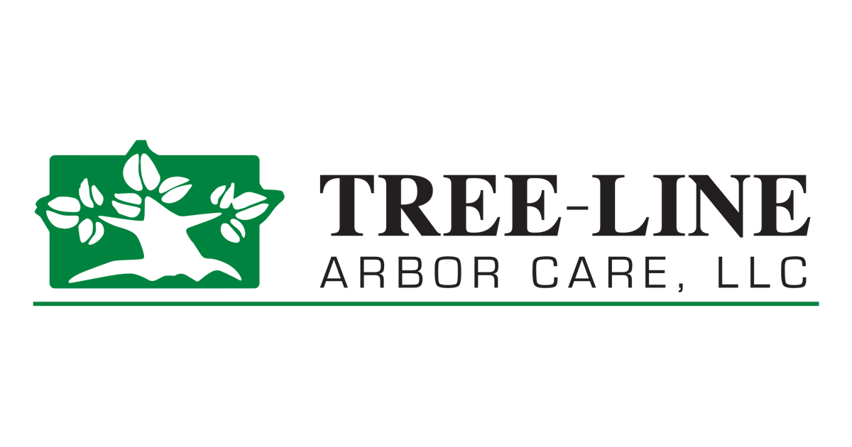 TREE-LINE ARBOR CARE | 81 Customer Reviews with a 5-Star Rating